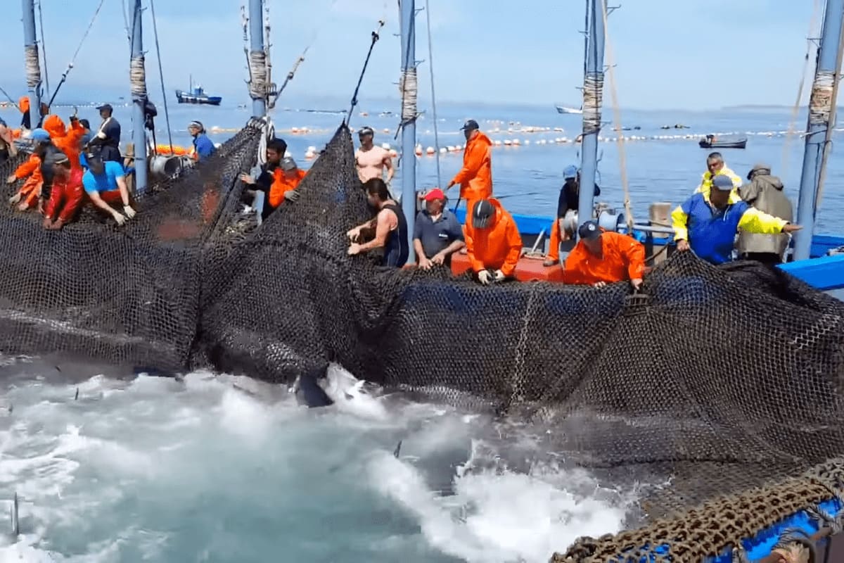 "Jala, Jala" • Andalucía Wordle Blog