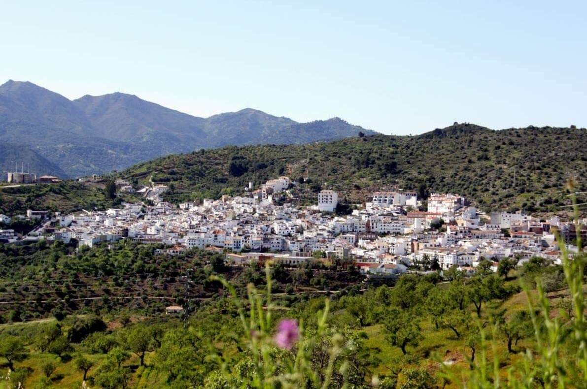 Guaro • Andalucía Wordle Blog